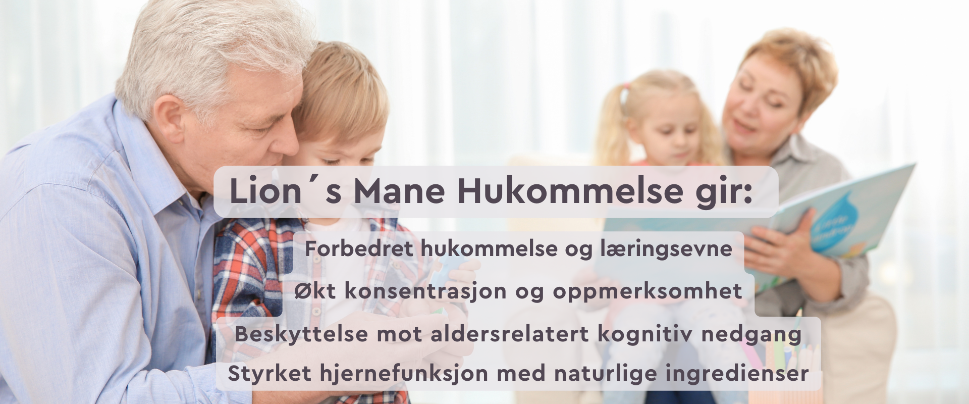 5 gode grunner til å prøve Lions Mane Hukommelse – lions-mane.no